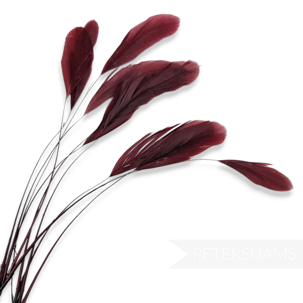 Long Loose Stripped Coque Feathers - Pack of 10 – Petershams Millinery ...