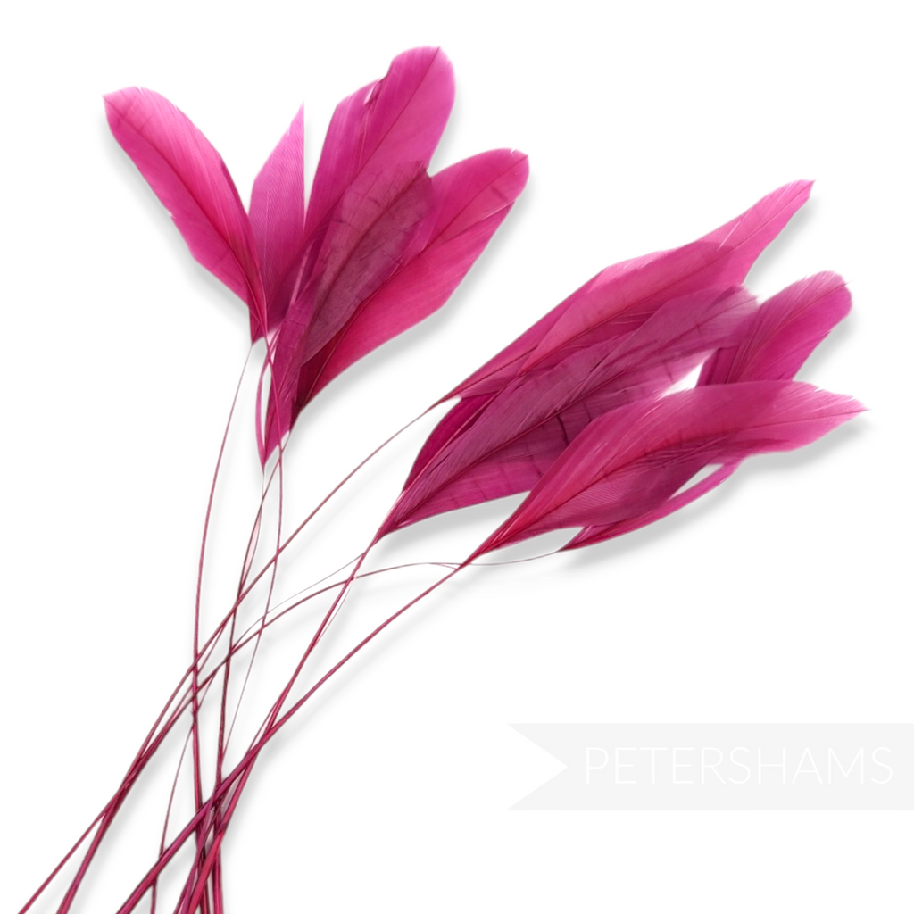 Long Loose Stripped Coque Feathers - Pack of 10 – Petershams Millinery ...