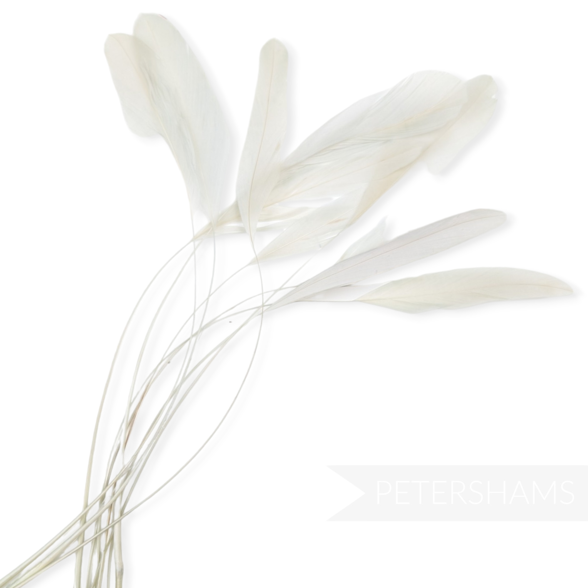 Long Loose Stripped Coque Feathers - Pack of 10 – Petershams Millinery ...