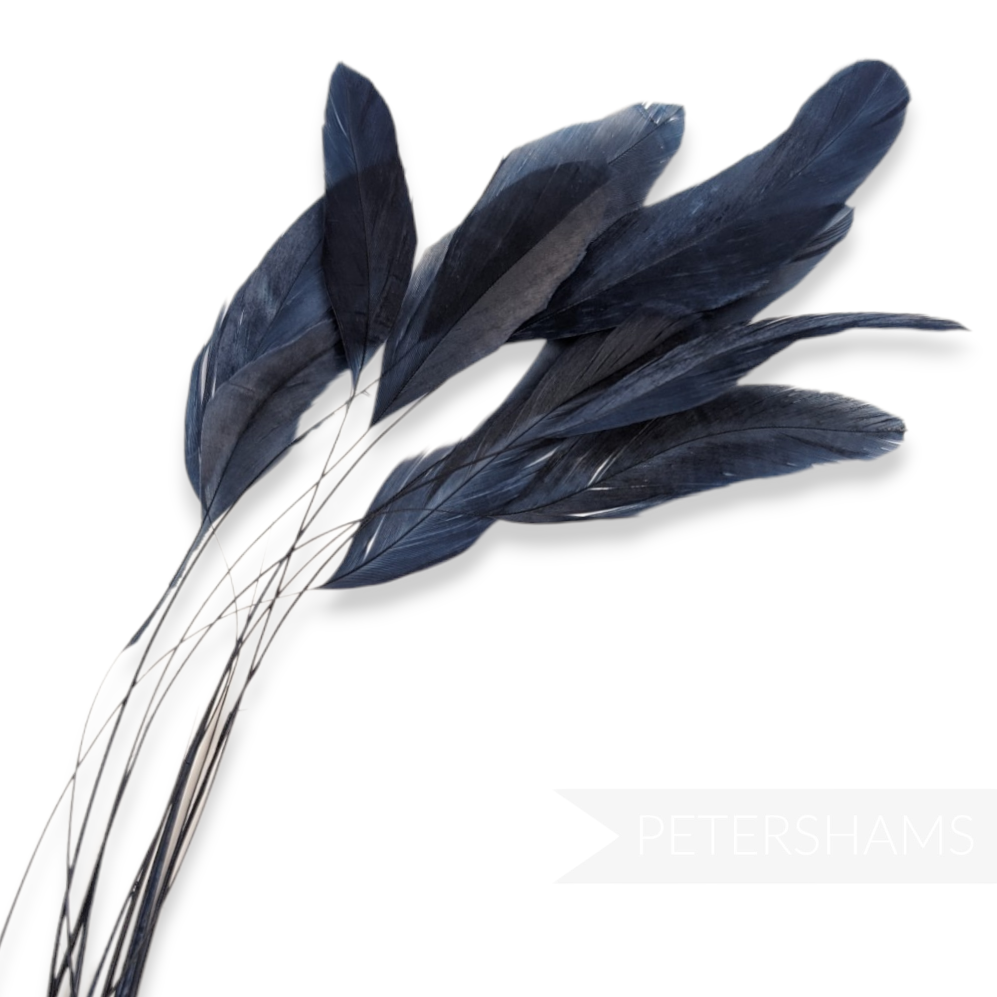 Long Loose Stripped Coque Feathers - Pack of 10 – Petershams Millinery ...