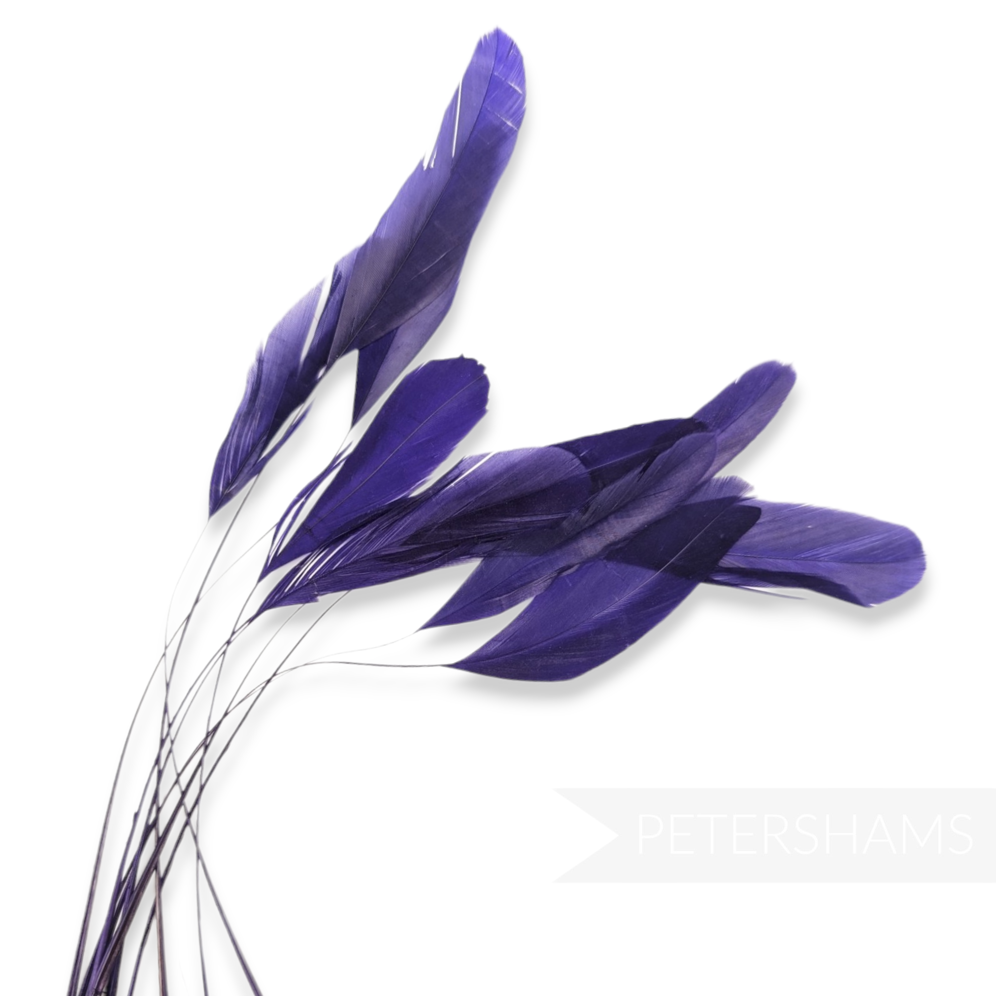 Long Loose Stripped Coque Feathers - Pack of 10 – Petershams Millinery ...