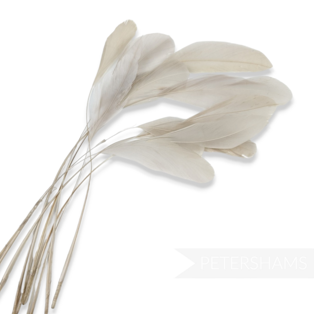 Long Loose Stripped Coque Feathers - Pack of 10 – Petershams Millinery ...