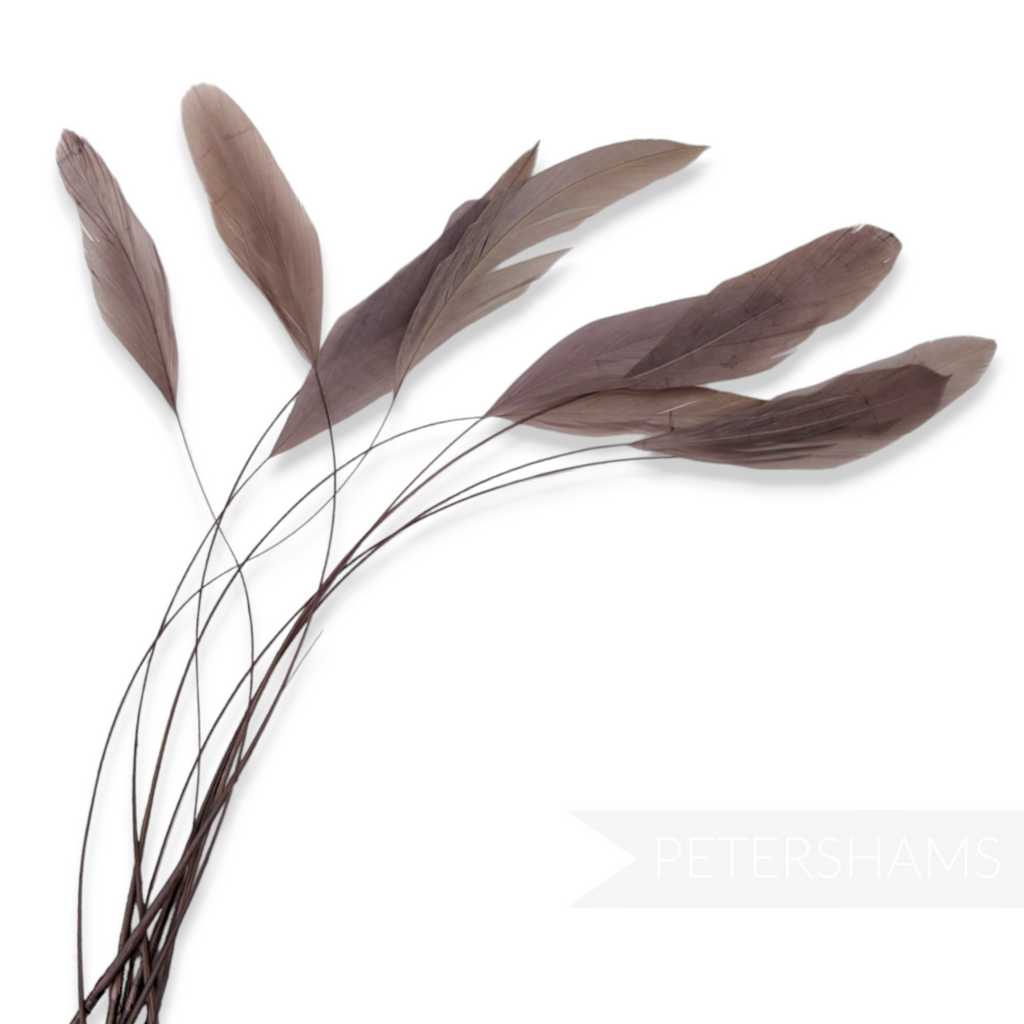 Long Loose Stripped Coque Feathers - Pack of 10 – Petershams Millinery ...