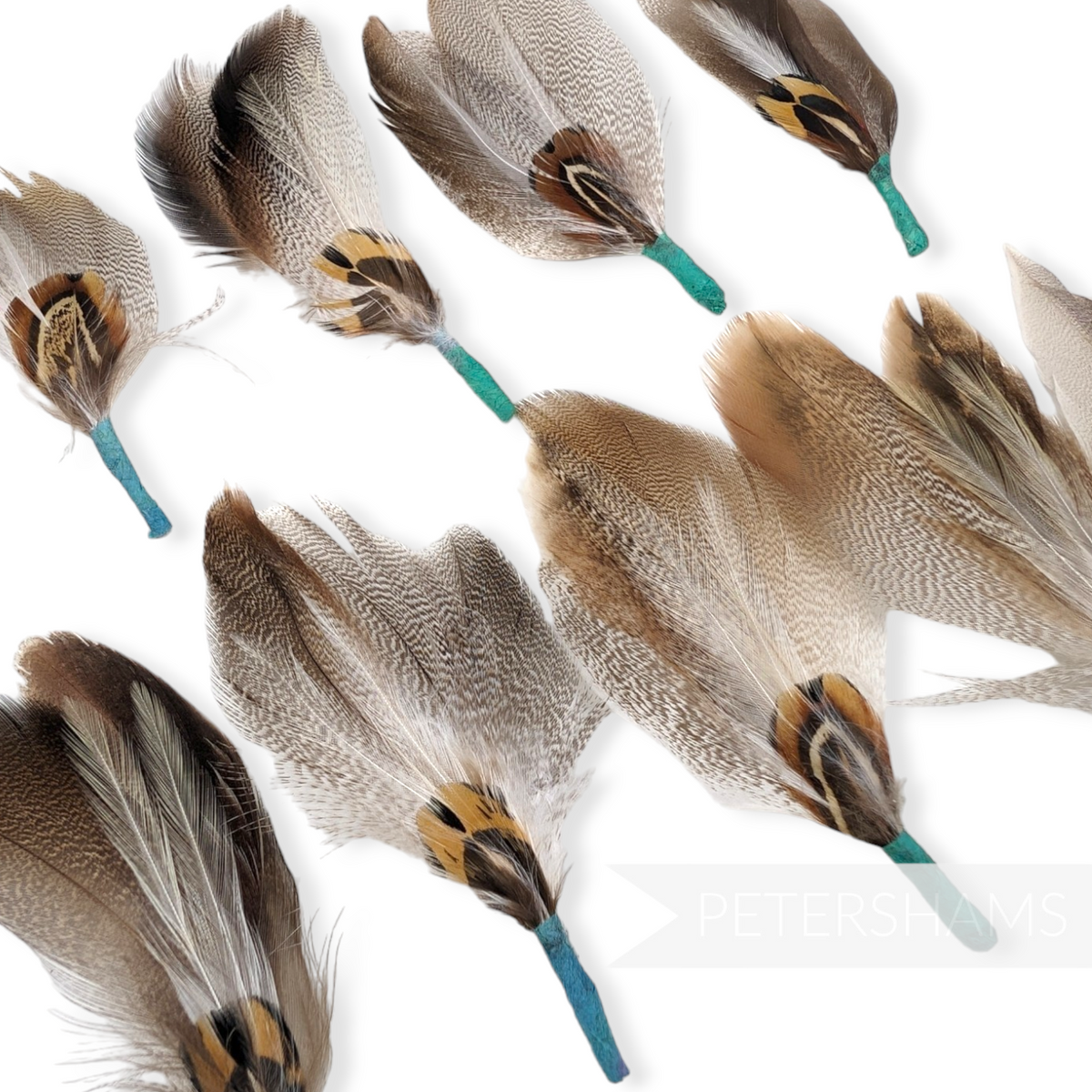 Small Natural Feather Hat Mounts - Pack of 12 – Petershams Millinery ...