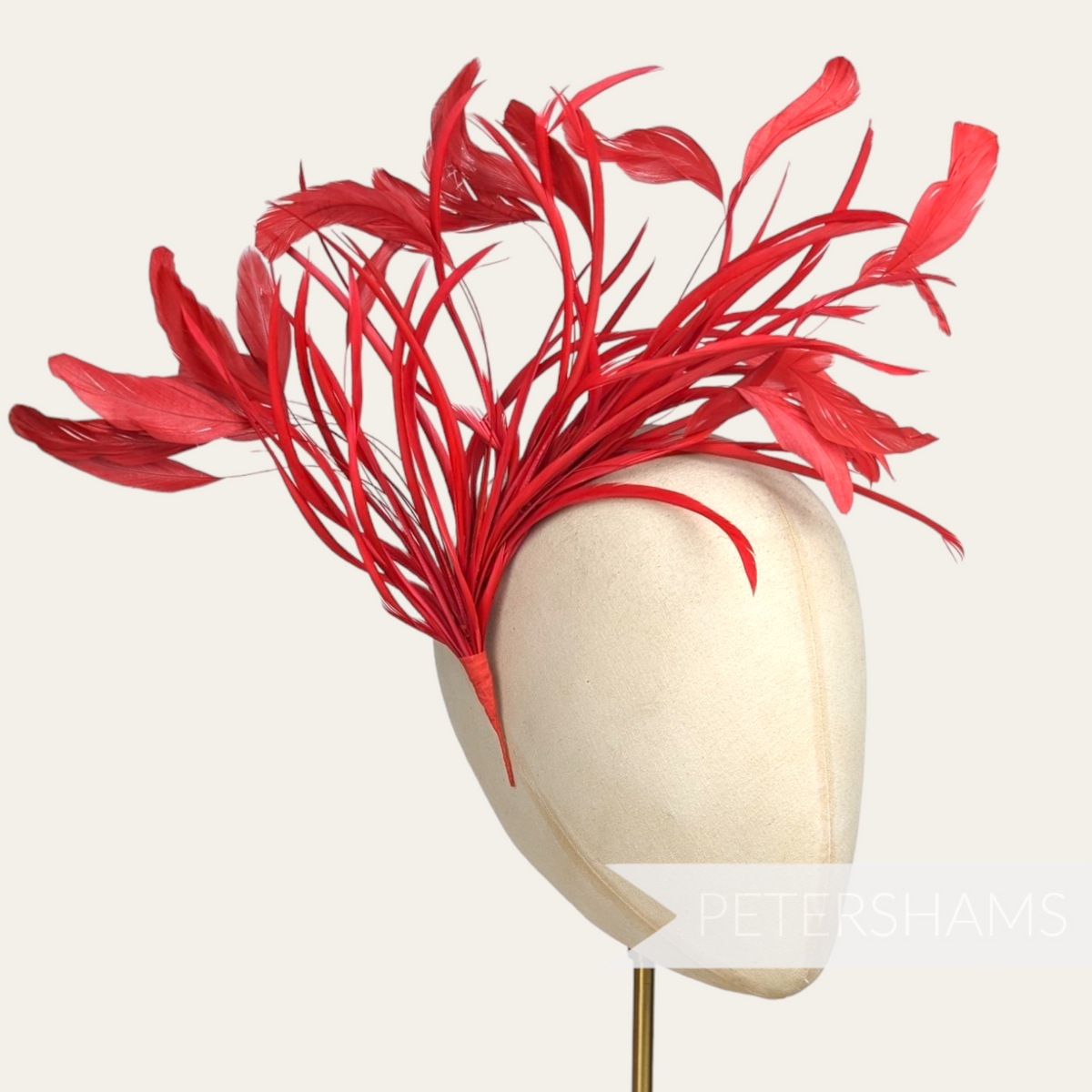 Extra Large Stripped Coque & Goose Biot Feather Hat Mount – Petershams ...