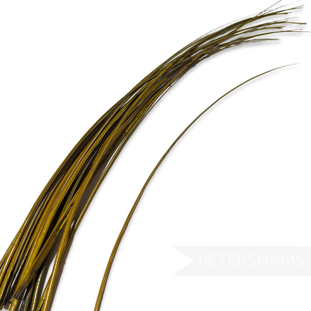 Stripped Ostrich Quill Feather – Petershams Millinery Supplies