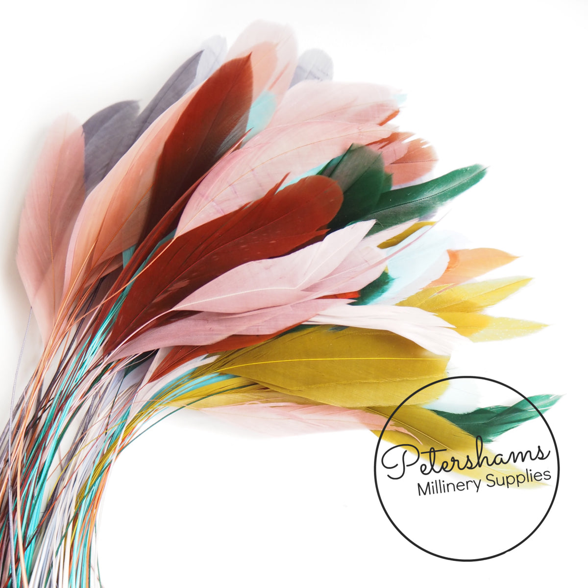 Long Loose Stripped Coque Feathers - Pack of 10 – Petershams Millinery ...