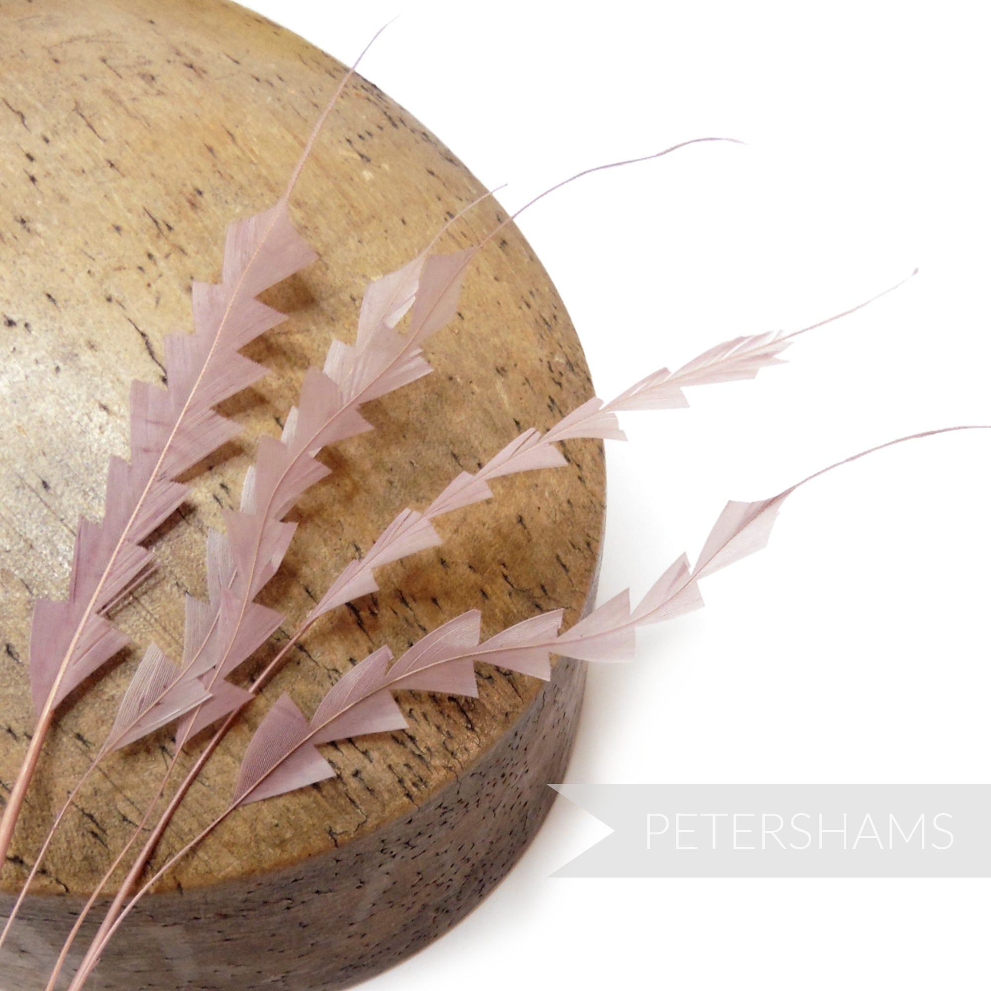 Zig Zag Coque Feathers - Pack of 5 – Petershams Millinery Supplies